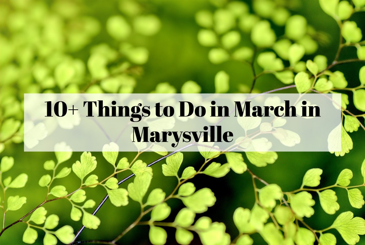 10+ Things to Do in March in Marysville {2020} – What's Up, Marysville ...